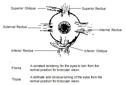 Welcome to Optical Training Institute!