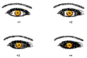 Welcome to Optical Training Institute!